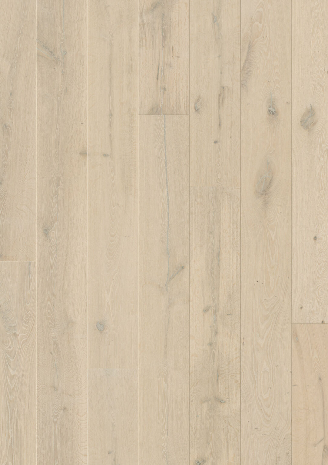 Quick-Step Massimo Engineered Timber Frozen Oak Extra Matt