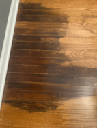How to Fix Water Damaged Timber Flooring: Expert Guide